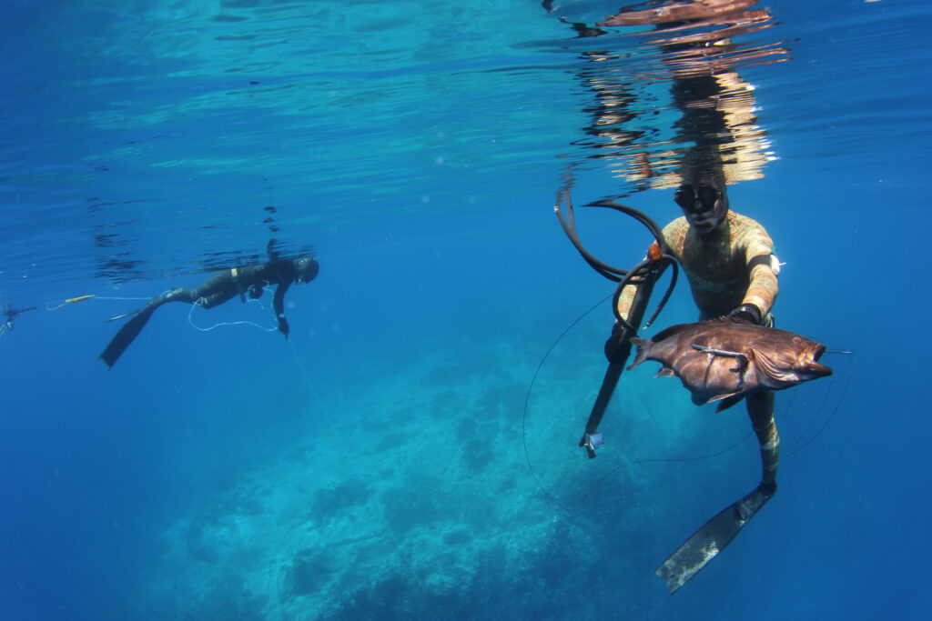 Υ/Β κυνήγι - Level 2 - Freedivers Academy